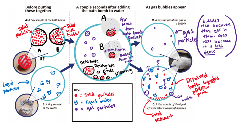 7th Grade Science Supports – ACS Seventh Grade