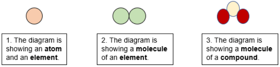 7th Grade Science Supports – ACS Seventh Grade